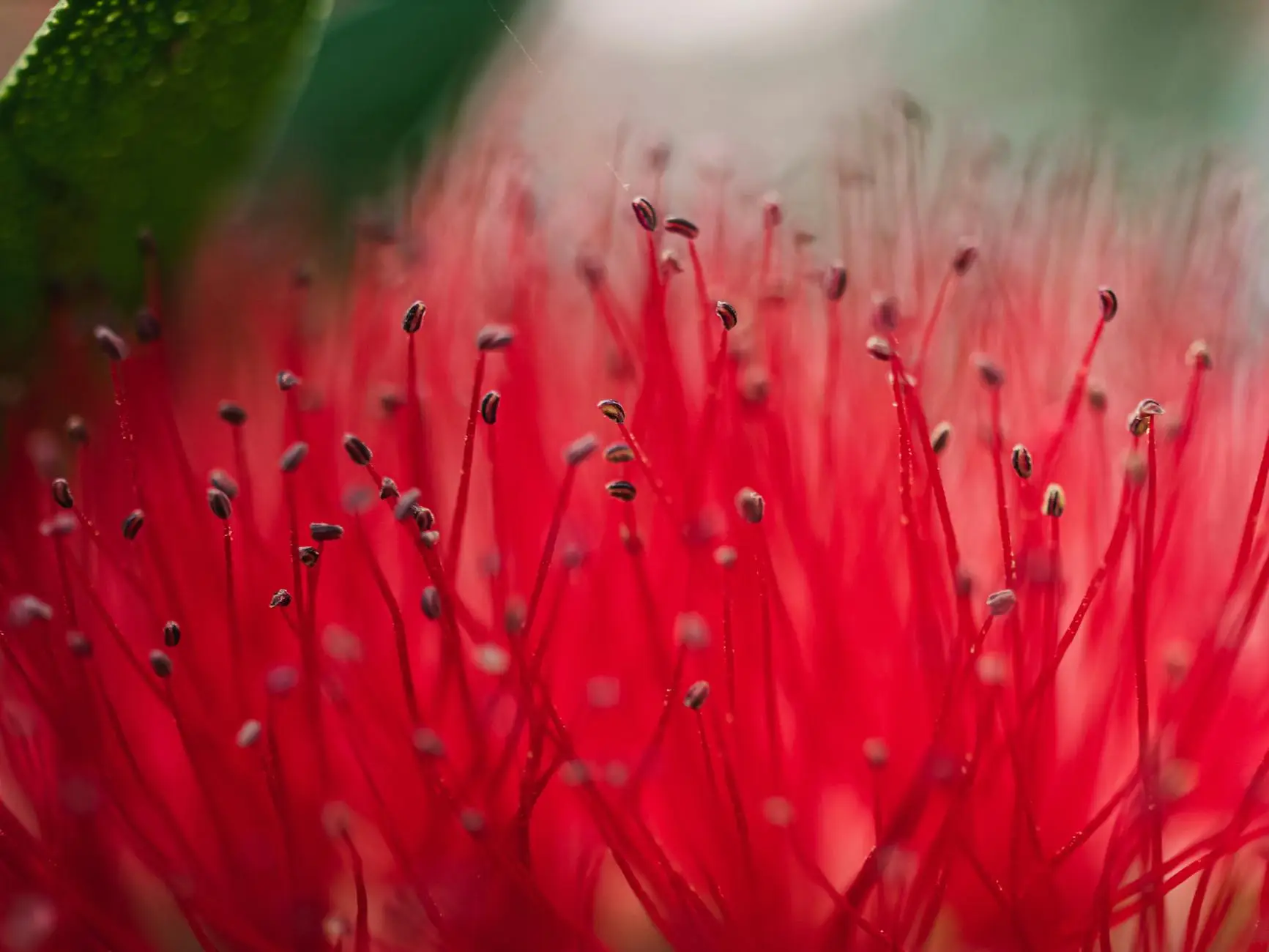 Mastering the SBI Model for Effective Feedback - CentroQMS